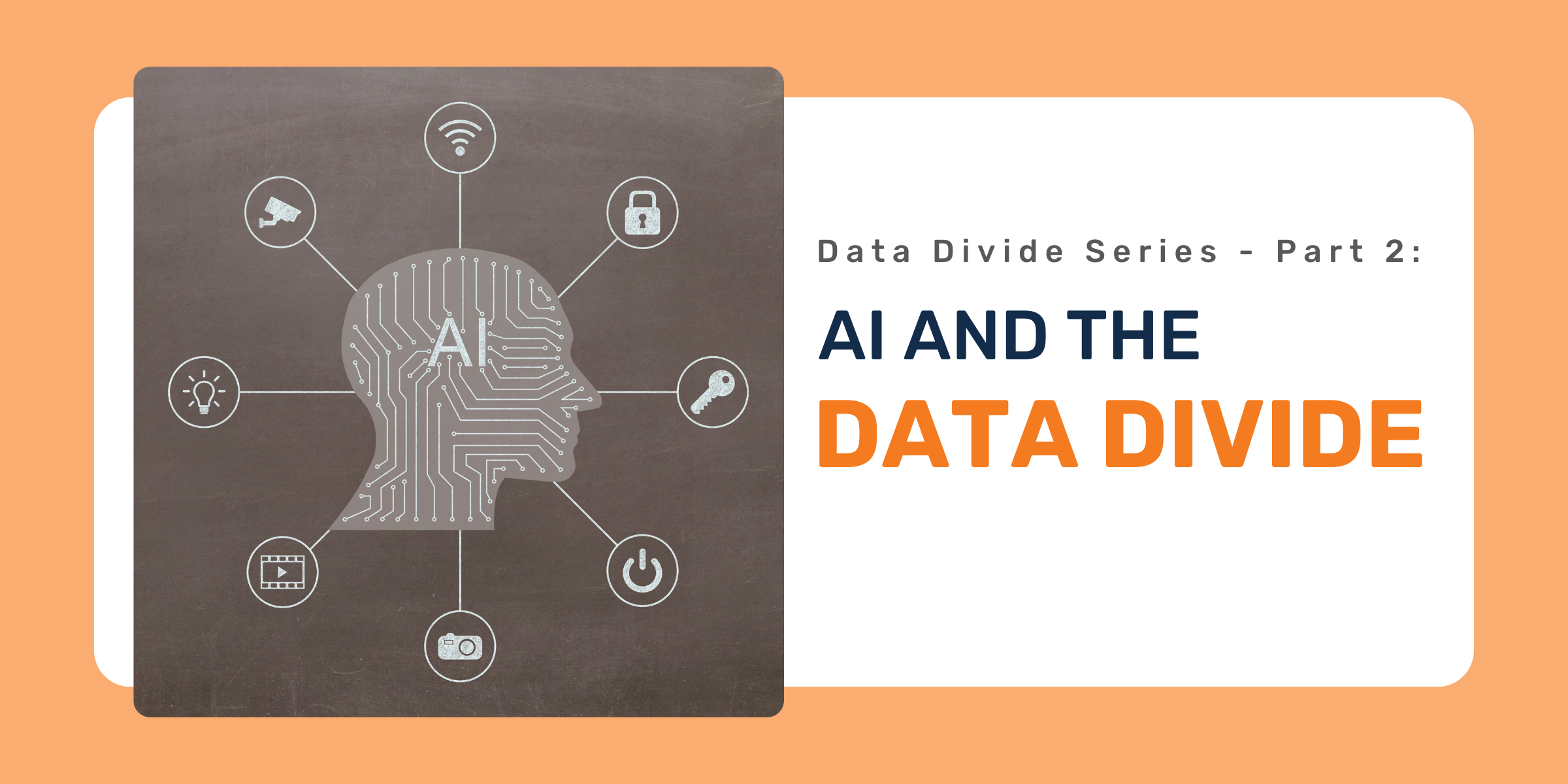 Data Divide Part 2: How AI Will Accelerate the Data Divide